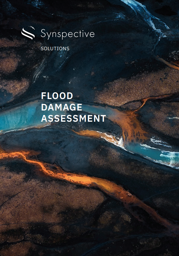 Download FDA Brochure - Synspective